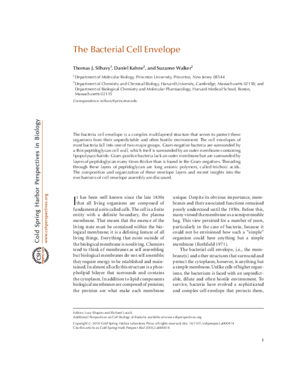 (PDF) The Bacterial Cell Envelope