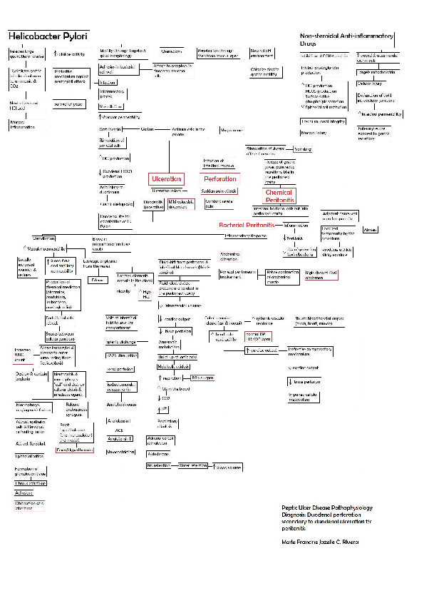 (DOC) Peptic Ulcer Disease Pathophysiology Diagram