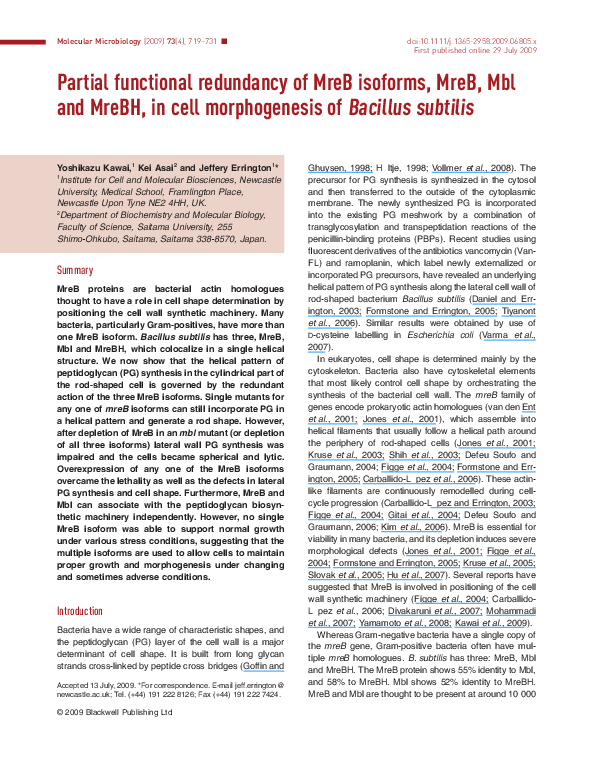 (PDF) Partial functional redundancy of MreB isoforms, MreB, Mbl and ...