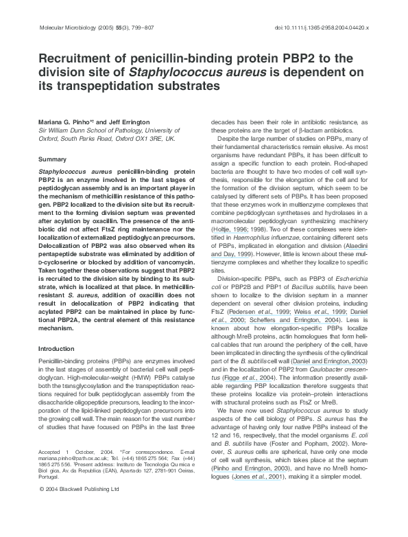 (PDF) Recruitment of penicillin-binding protein PBP2 to the division ...