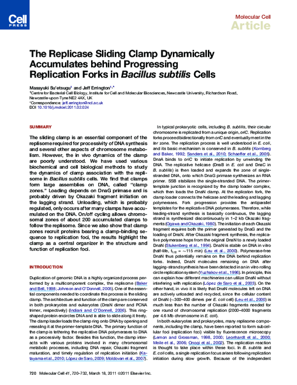 (PDF) The Replicase Sliding Clamp Dynamically Accumulates behind ...