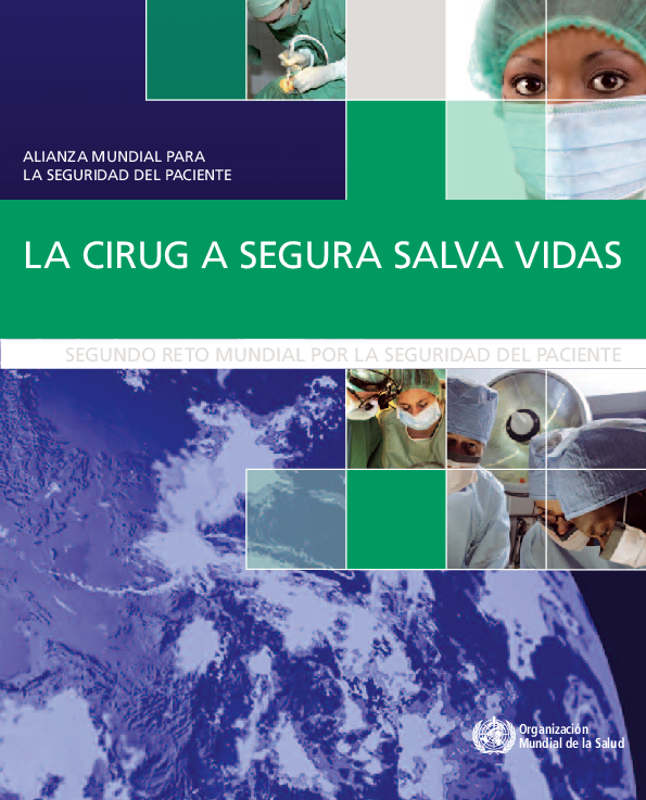 (PDF) ALIANZA MUNDIAL PARA LA SEGURIDAD DEL PACIENTE SEGUNDO RETO MUNDIAL POR LA SEGURIDAD DEL ...