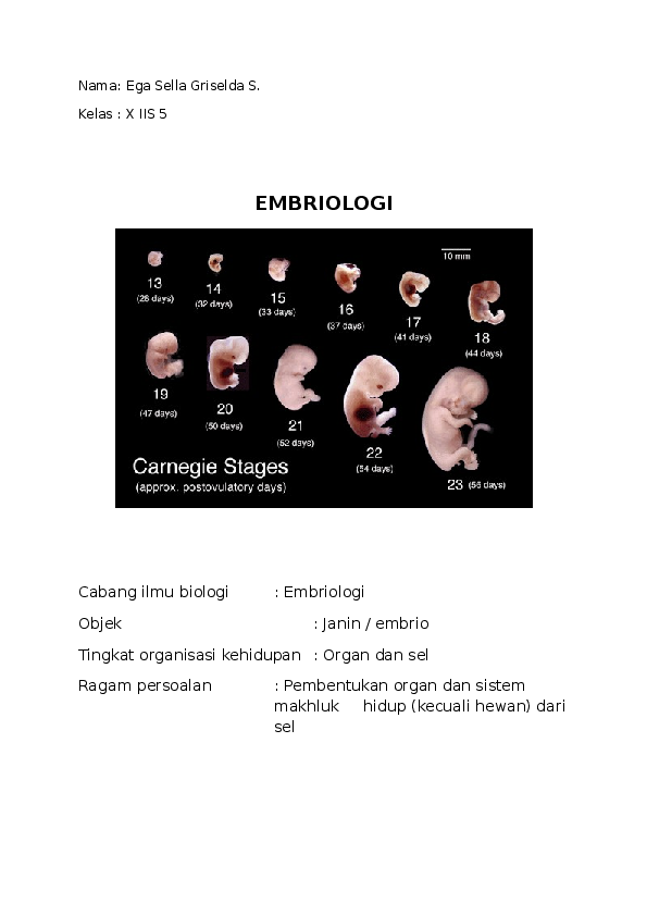 (DOC) EMBRIOLOGI