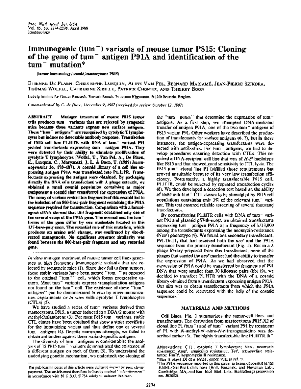 (PDF) Immunogenic (tum-) variants of mouse tumor P815: cloning of the ...