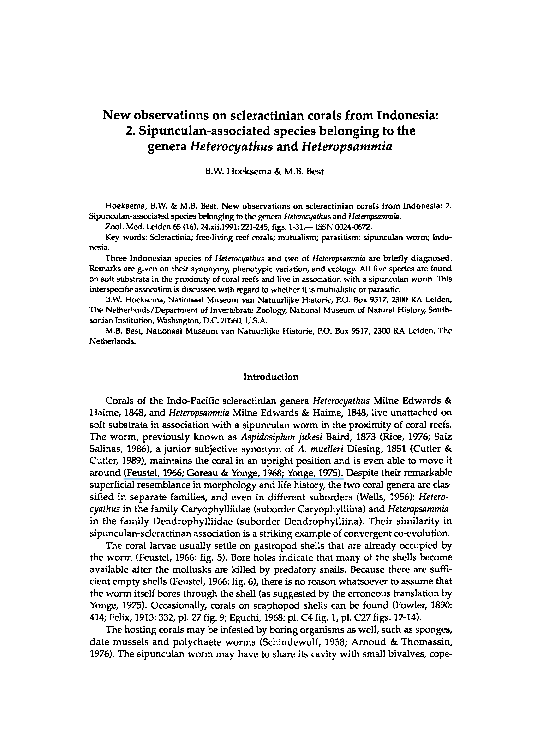 (PDF) New observations on scleractinian corals from Indonesia: 2 ...