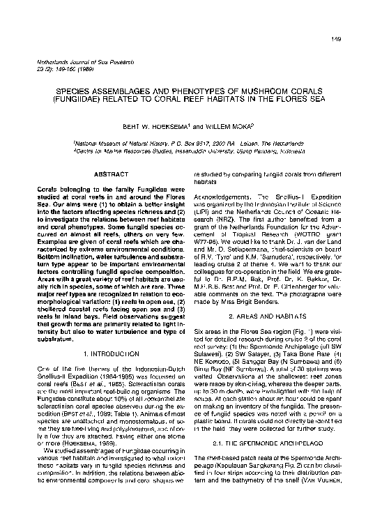 (PDF) The mushroom coral fauna (Scleractinia: Fungiidae) of Brunei ...