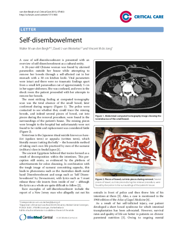 (PDF) Self-disembowelment