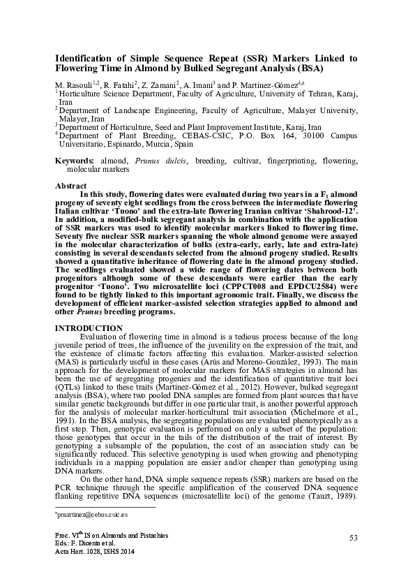 Pdf Identification Of Simple Sequence Repeat Ssr Markers Linked To