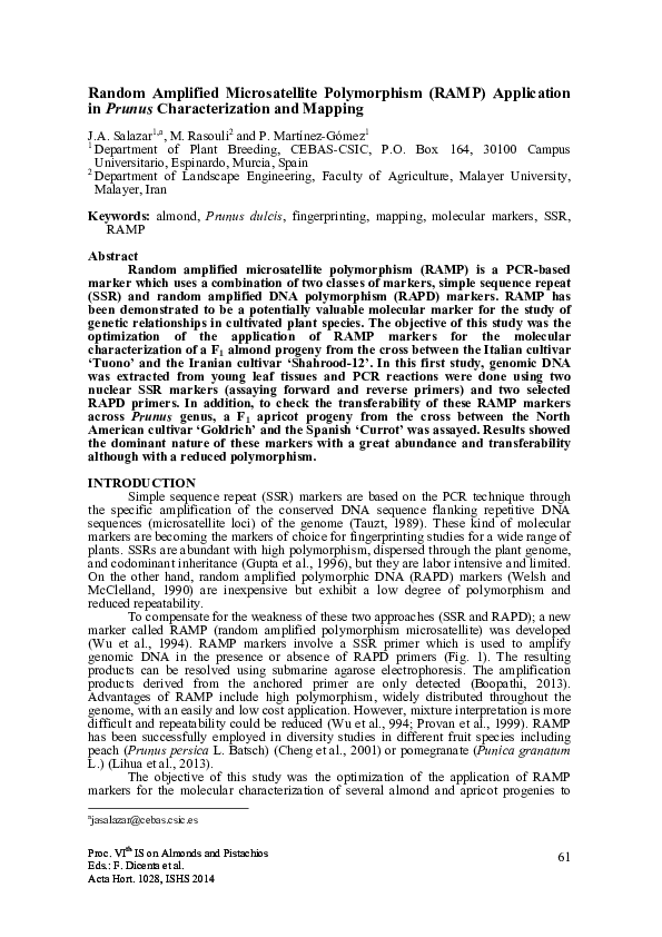(PDF) Random Amplified Microsatellite Polymorphism (Ramp) Application in Prunus Characterization ...