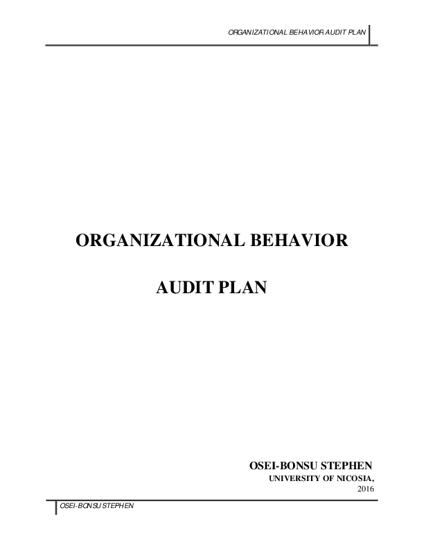 (PDF) ORGANIZATIONAL BEHAVIOR AUDIT PLAN