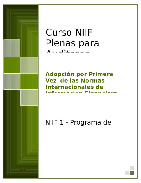 (DOC) Curso NIIF Plenas para Auditores NIIF 1 -Programa de Auditoría ...