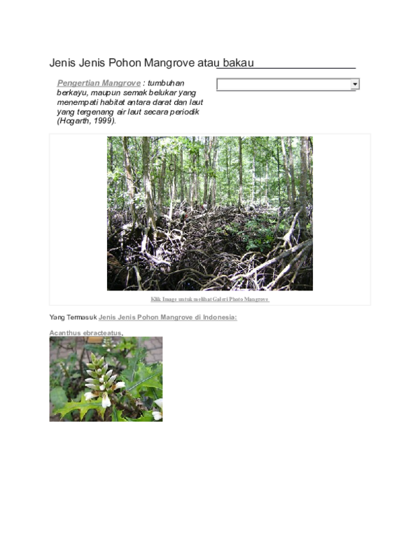 (DOC) Jenis Jenis Pohon Mangrove atau bakau