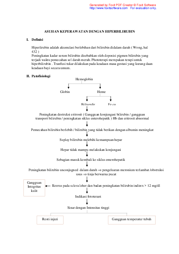 (PDF) ASUHAN KEPERAWATAN DENGAN HIPERBILIRUBIN
