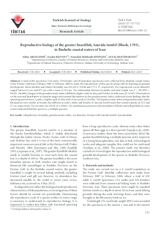 (PDF) Reproductive biology of the greater lizardfish, Saurida tumbil ...