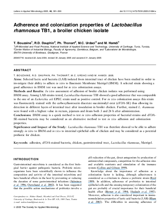 (PDF) Adherence and colonization properties of Lactobacillus rhamnosus ...