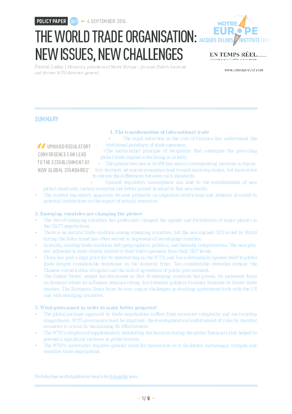(PDF) THE WORLD TRADE ORGANISATION: NEW ISSUES, NEW CHALLENGES SUMMARY ...