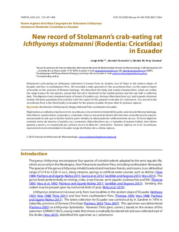 (PDF) New record of Stolzmann's crab-eating rat Ichthyomys stolzmanni ...