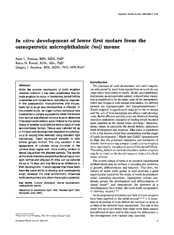(PDF) In vitro development of lower first molars from the osteopetrotic ...