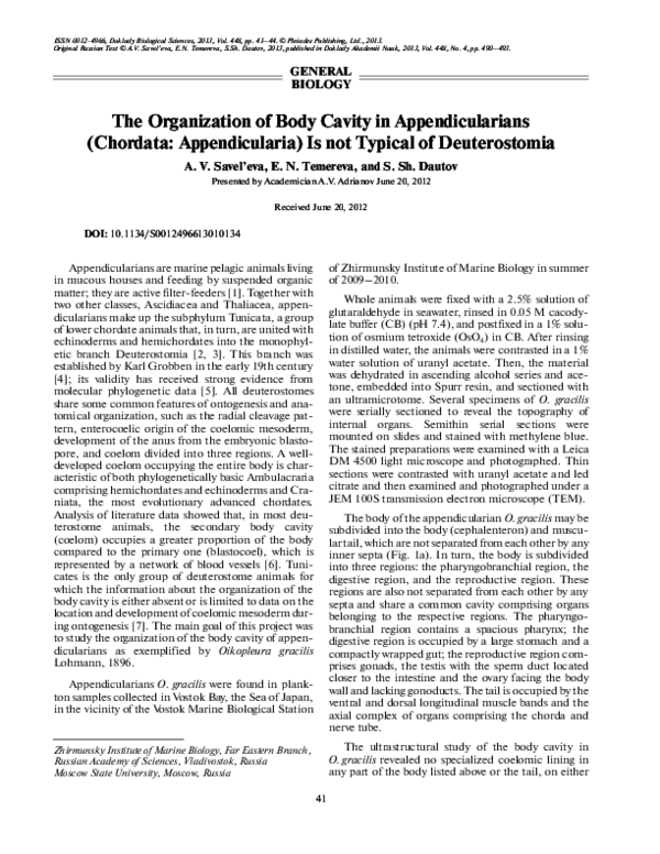 (PDF) The organization of body cavity in appendicularians (Chordata ...
