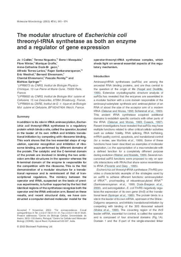 (PDF) The modular structure of Escherichia coli threonyl-tRNA ...