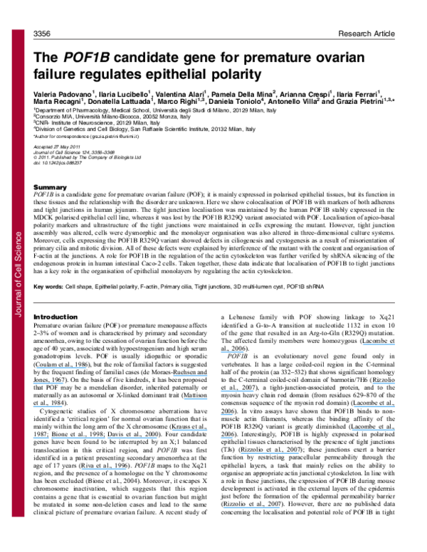 (PDF) The POF1B candidate gene for premature ovarian failure regulates ...
