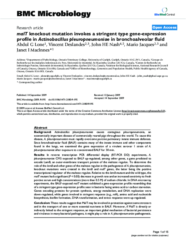 (PDF) malT knockout mutation invokes a stringent type gene-expression ...