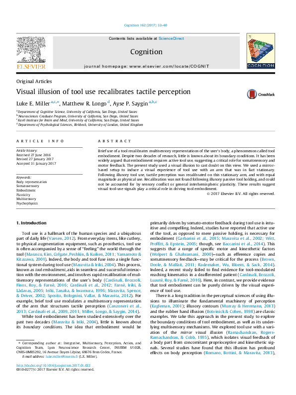 (PDF) Visual illusion of tool use recalibrates tactile perception
