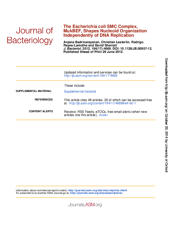 (PDF) The Escherichia coli SMC Complex, MukBEF, Shapes Nucleoid ...