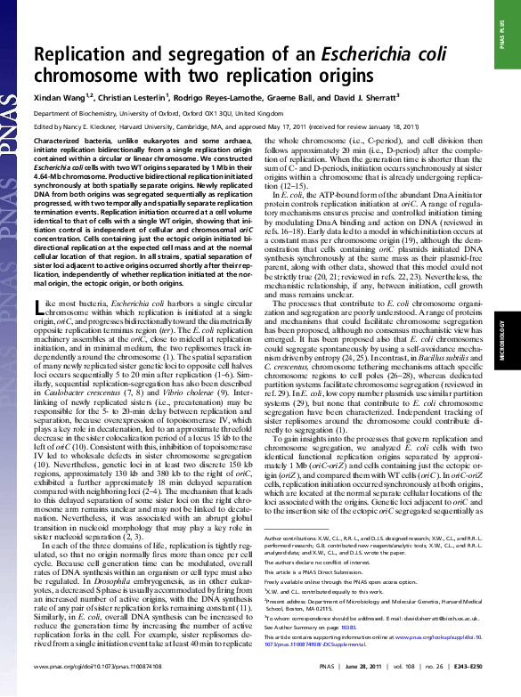 (PDF) Replication and segregation of an Escherichia coli chromosome ...