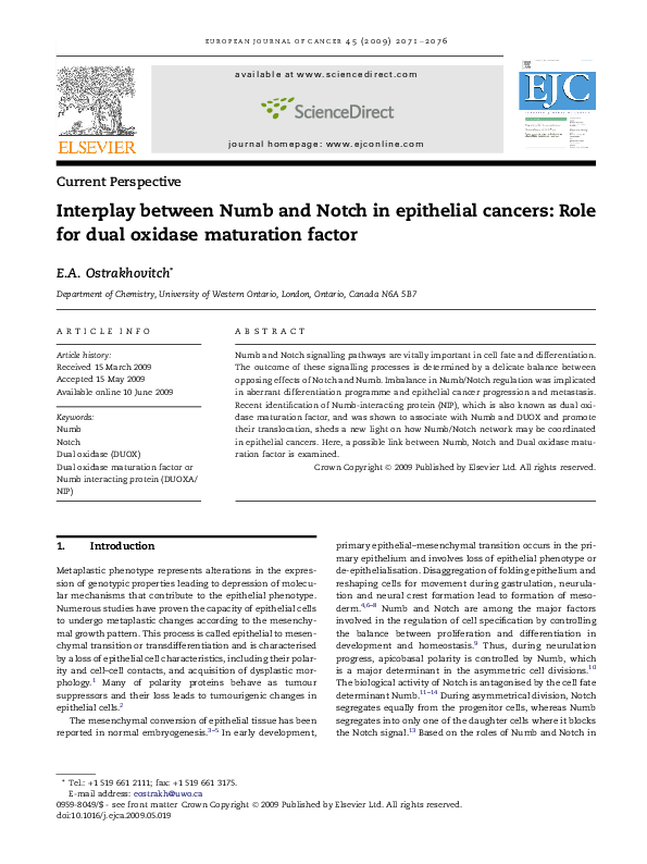 (PDF) Interplay between Numb and Notch in epithelial cancers: Role for ...