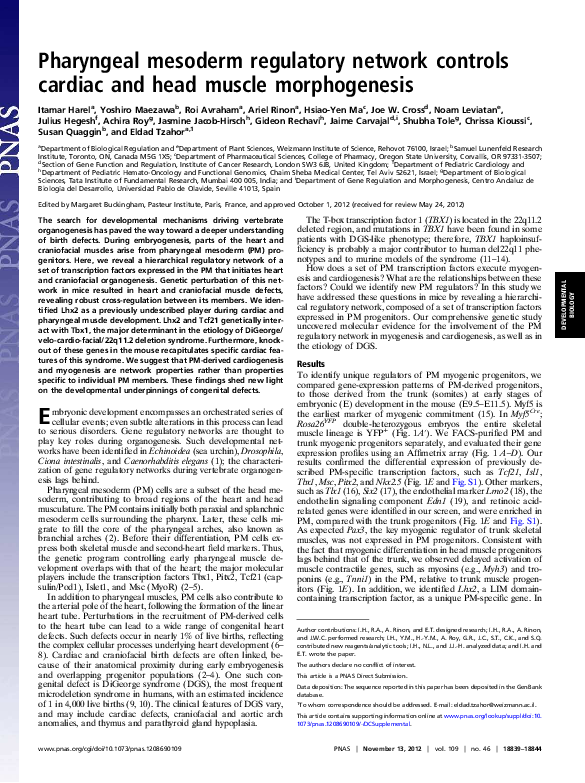 (PDF) Pharyngeal mesoderm regulatory network controls cardiac and head ...