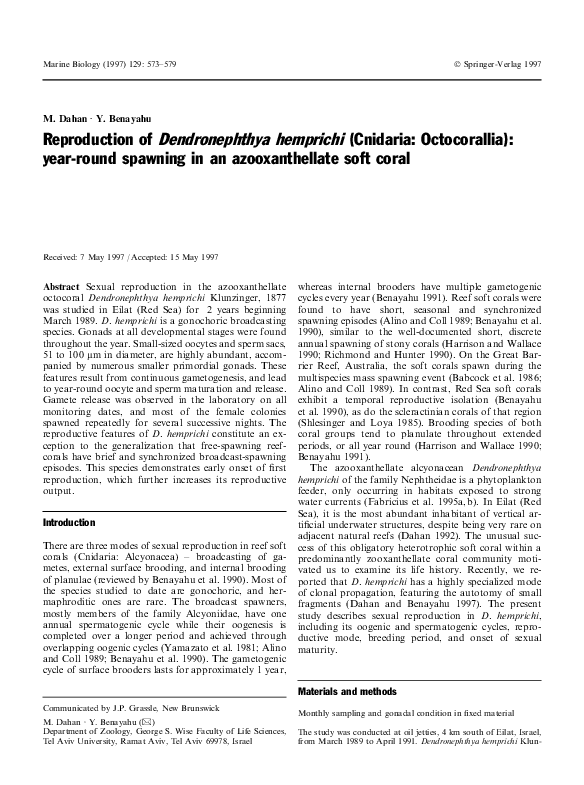 (PDF) Reproduction of Dendronephthya hemprichi (Cnidaria: Octocorallia ...