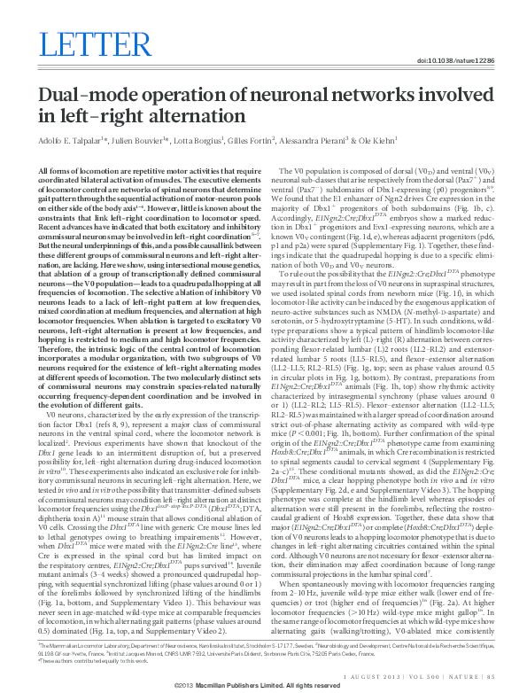 (PDF) Dual-mode operation of neuronal networks involved in left–right alternation | Adolfo ...