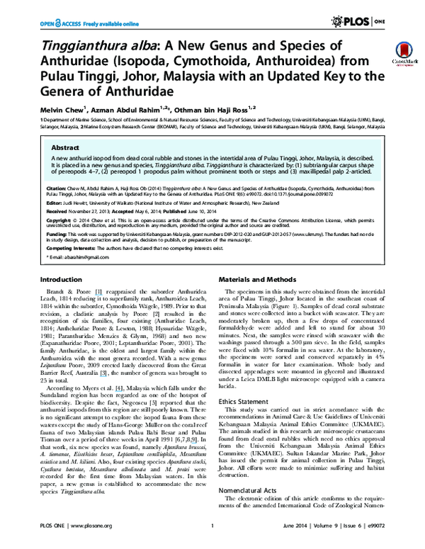 (PDF) Tinggianthura alba: A New Genus and Species of Anthuridae ...