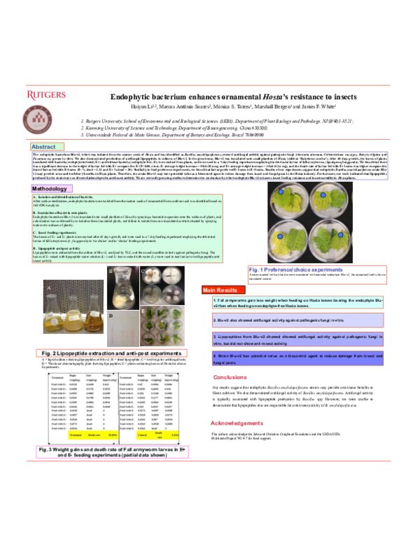 (PDF) Poster: Endophytic bacterium, Bacillus amyloliquefaciens, in ...