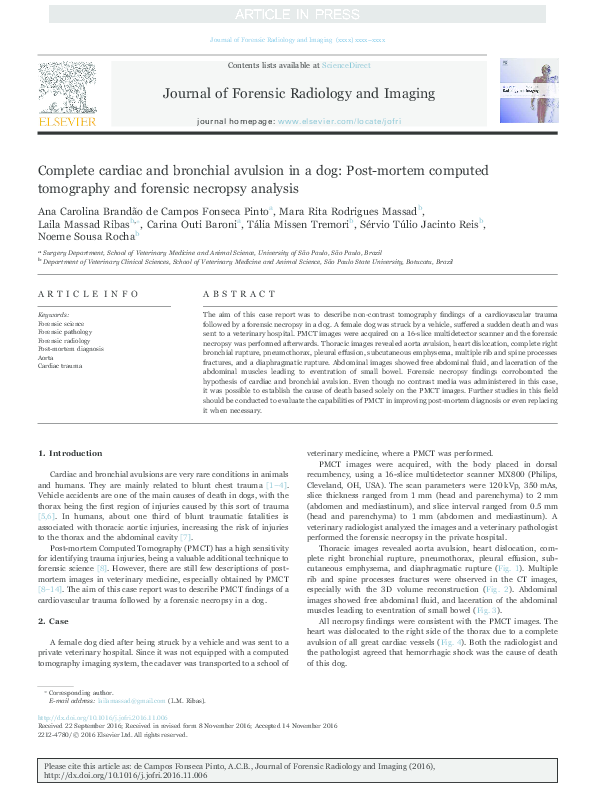 (PDF) Complete cardiac and bronchial avulsion in a dog: Post-mortem ...