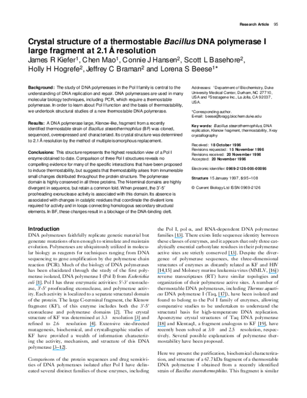 (PDF) Crystal structure of a thermostable Bacillus DNA polymerase l large fragment at 2.1 Å ...
