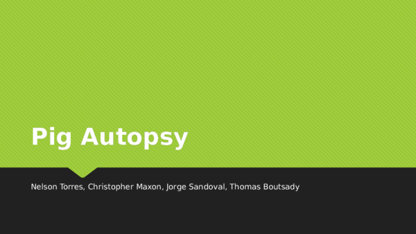 (PPT) Pig Autopsy