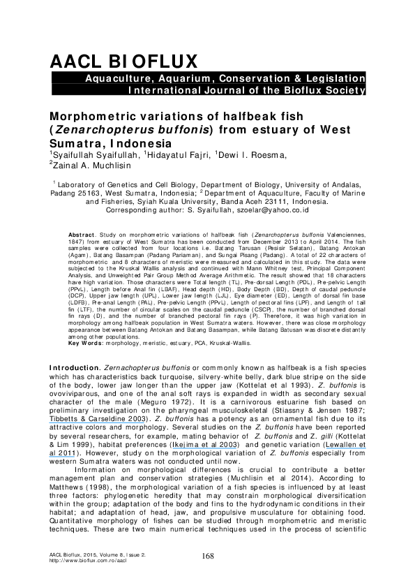 (PDF) Morphometric variations of halfbeak fish (Zenarchopterus buffonis ...