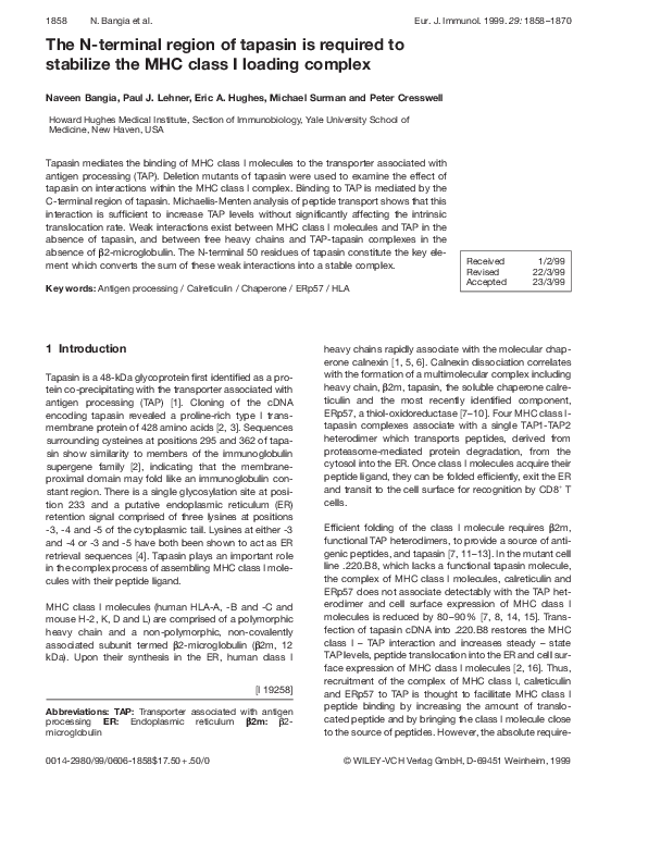 (PDF) The N-terminal region of tapasin is required to stabilize the MHC ...