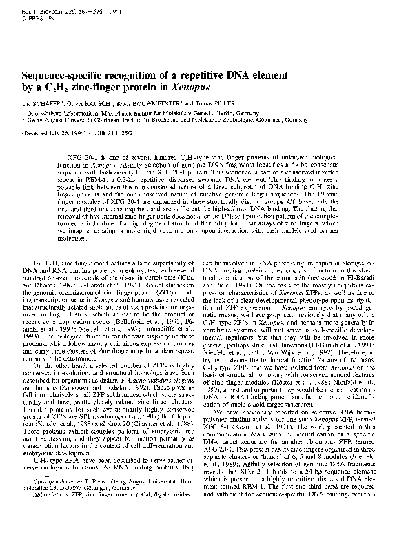 (PDF) Sequence-Specific Recognition of a Repetitive DNA Element by a ...