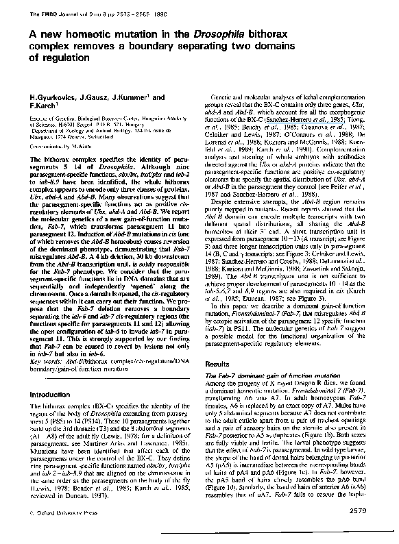 (PDF) A new homeotic mutation in the Drosophila bithorax complex ...