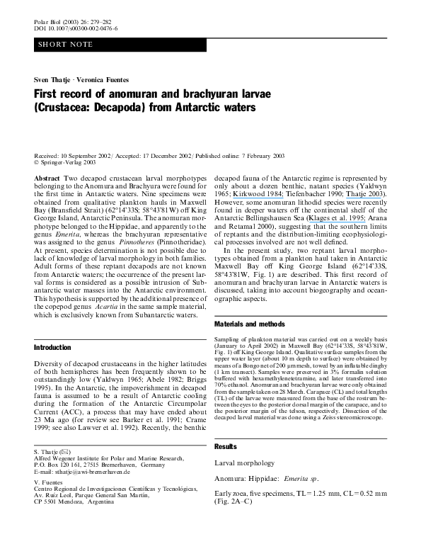 (PDF) First record of anomuran and brachyuran larvae (Crustacea ...