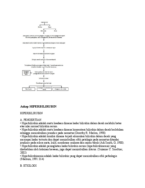 (DOC) Askep HIPERBILIRUBIN
