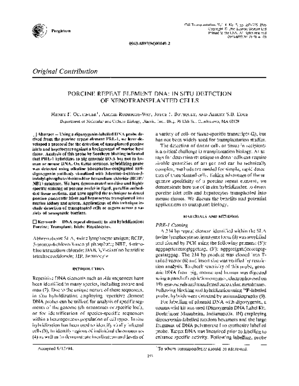 (PDF) Porcine repeat element DNA: In situ detection of xenotransplanted ...