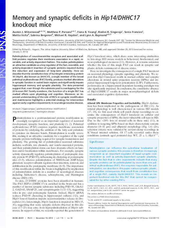 (PDF) Memory and synaptic deficits in Hip14/DHHC17 knockout mice