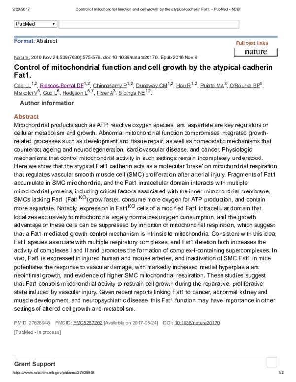 (PDF) Control of mitochondrial function and cell growth by the atypical ...