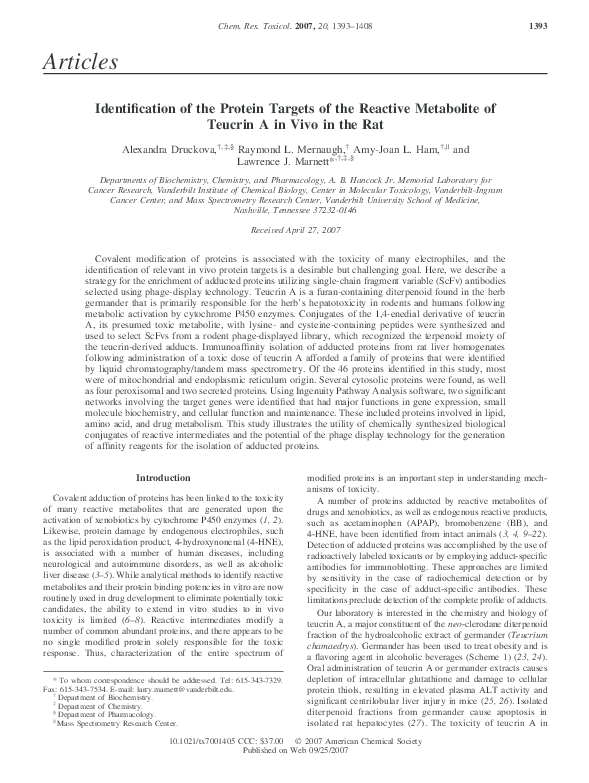 (PDF) Identification of the Protein Targets of the Reactive Metabolite ...