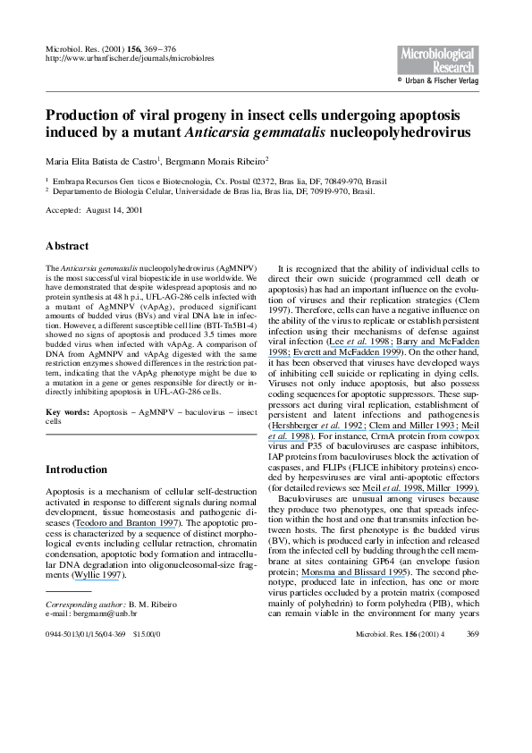 (PDF) Production of viral progeny in insect cells undergoing apoptosis ...