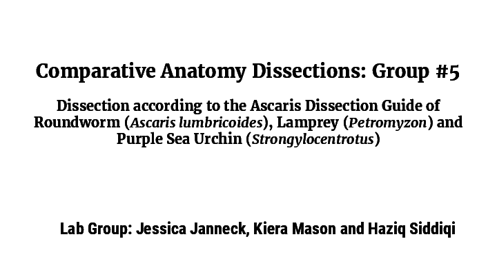 (PDF) Biology Lab: Comparative Anatomy Dissection